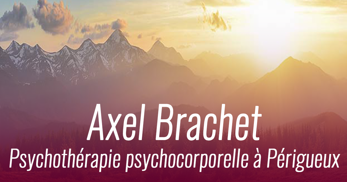 Gestalt - Axel Brachet